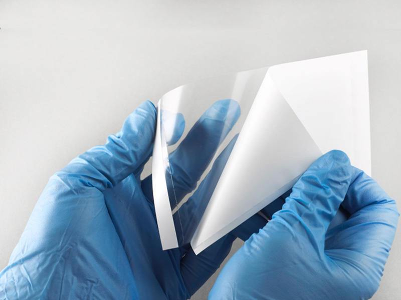 qPCR Adhesive Seal - Filara Biomed