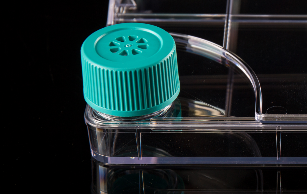 1 Layer Biofactory™ Culture Chamber - Filara Biomed