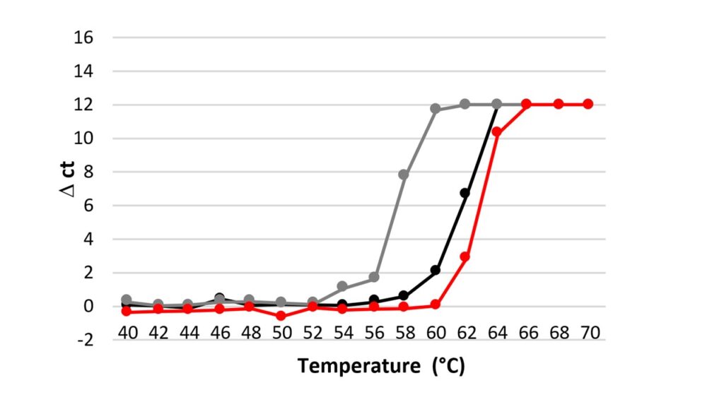 TetroScript Reverse Transcriptase - Filara Biomed
