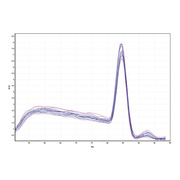 Kit SensiMix™ SYBR® Hi-ROX - Filara Biomed